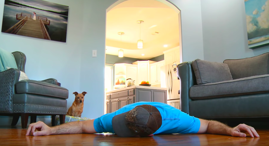 This Is What Will Happen If You Fake Your Death In Front Of Your Dog PdfFiller