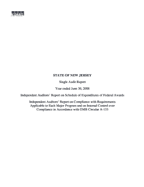 Cl500 declaration of need form: Fill out & sign online | DocHub