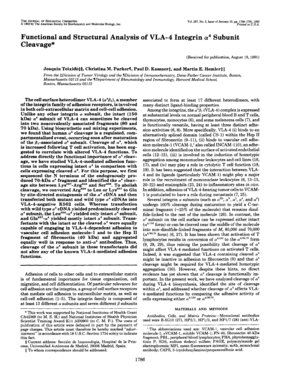 Top 10 Sample Supplemental Questions for Job Applications Doc Template ...