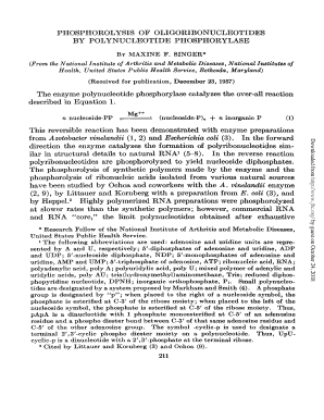 Everything Explained For The Professional Pilot Pdf - Fill Online ...