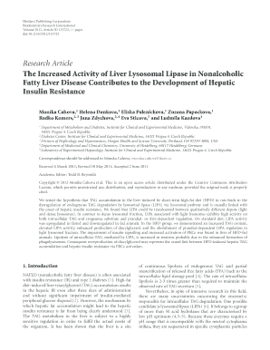 Fillable Online fema fema travel voucher form Fax Email Print - pdfFiller