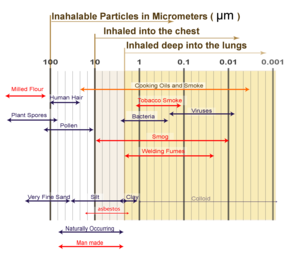 Pmay Self Declaration Format - Fill Online, Printable, Fillable, Blank ...