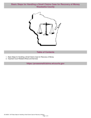 Fillable Online Basic Steps for Handling a Small Claims Case for ...