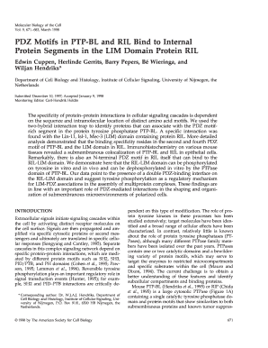 Ssa 5002 - Fill Online, Printable, Fillable, Blank | pdfFiller