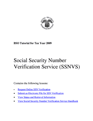 Fillable Online BSO Tutorial - Social Security Number Verification ...