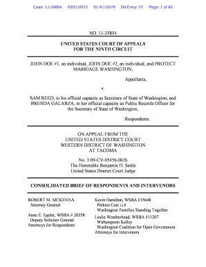 Fillable Online ca9 uscourts ninth circuit consolidated brief filing ...