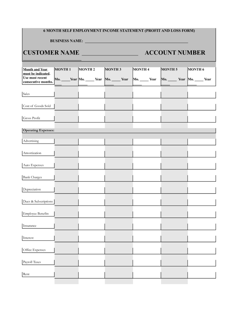 12 Month Profit And Loss Projection Excel Template HQ Template Documents