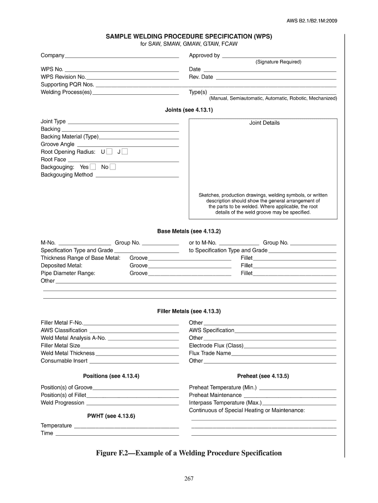 2009 Form AWS B2 1 B2 1M Fill Online Printable Fillable Blank 