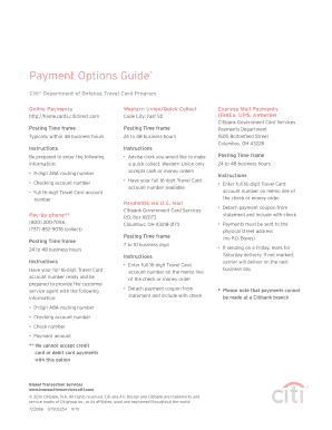 Fillable Online Payment Options Guide* Fax Email Print - pdfFiller