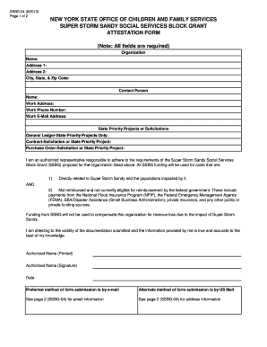 Fillable Online ocfs state ny Blueprint- Computer Networking ...