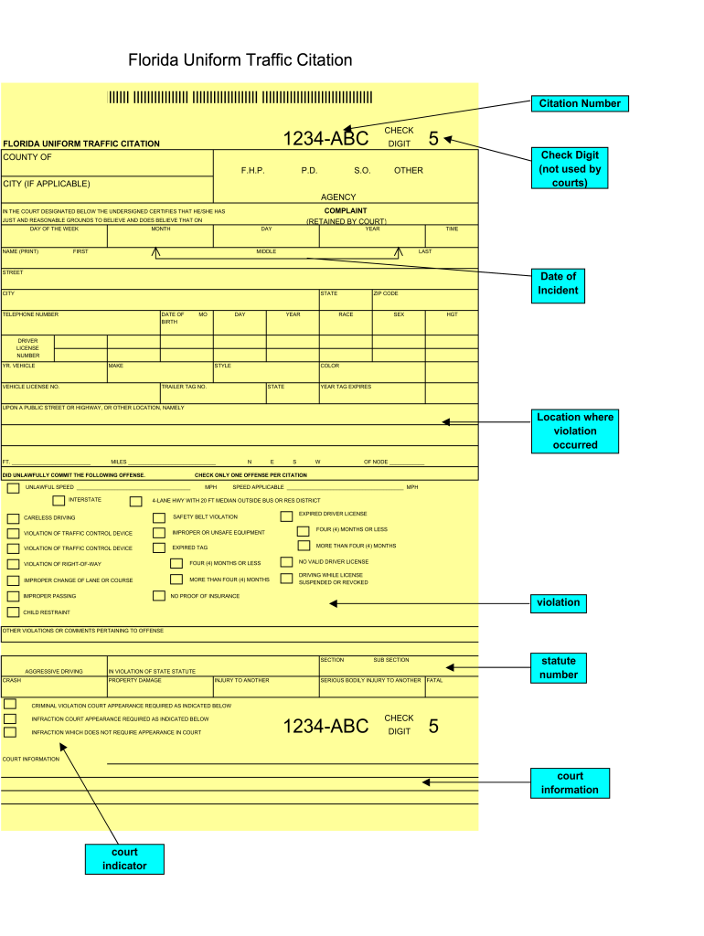 Florida Uniform Traffic Citation Form 2020 2022 Fill And Sign 