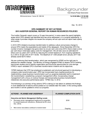Fillable Online OPG SUMMARY OF KEY ACTIONS Fax Email Print - pdfFiller