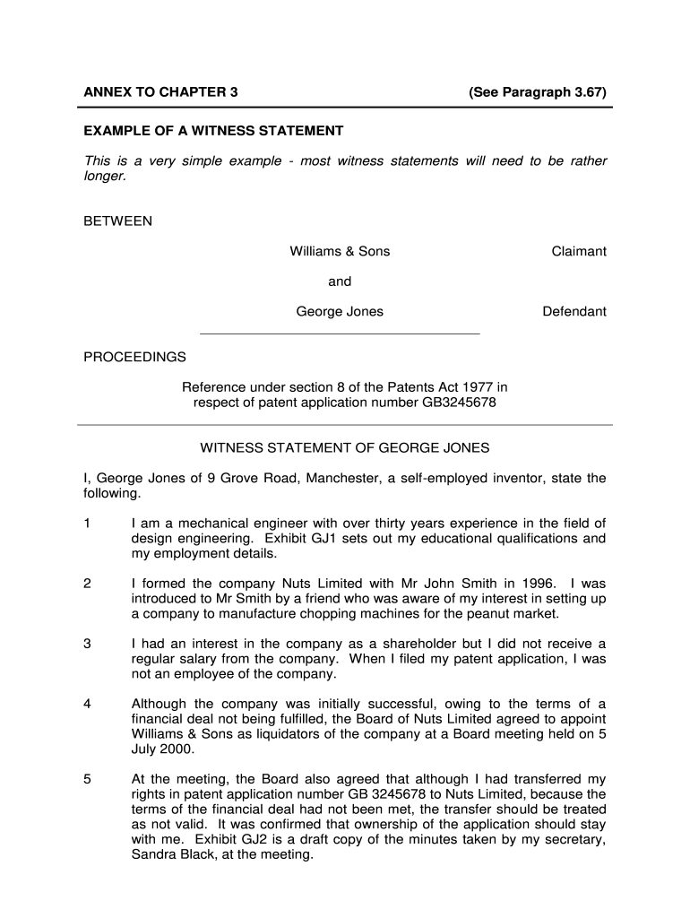 Witness Statement Template South Africa Fill Online Printable Fillable Blank PdfFiller