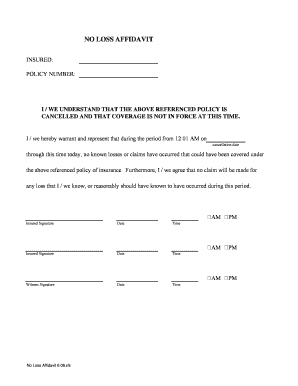 Fillable Online No Loss Affidavit 6 06 Fax Email Print - pdfFiller