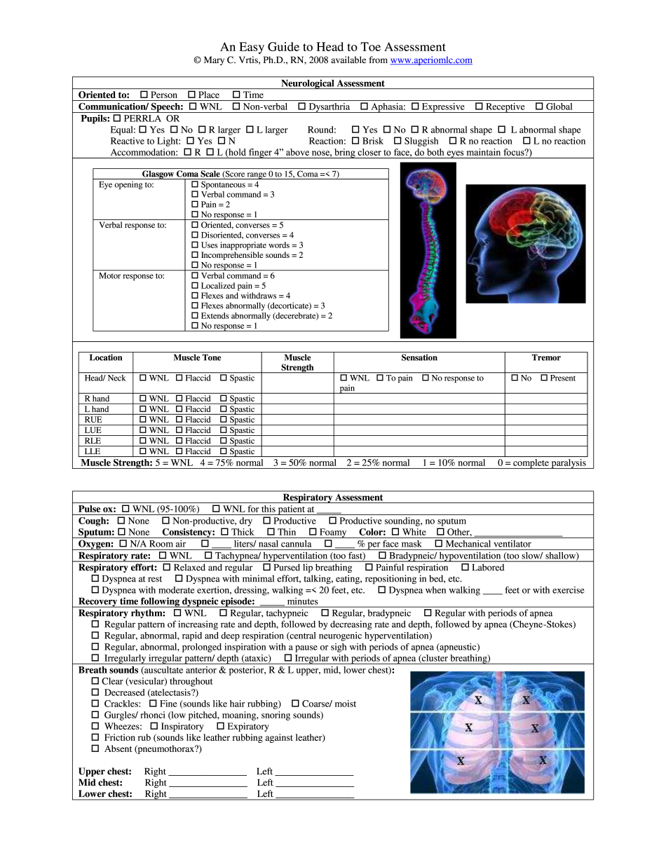 Complete Head To Toe Nursing Assessment Form Printable PDF Free