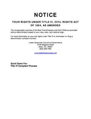 Fillable Online Title VI Notice and Complaint Process - Best Friend ...