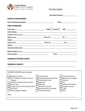 Fillable Online doe sd INTAKE FORM.docx Fax Email Print - pdfFiller