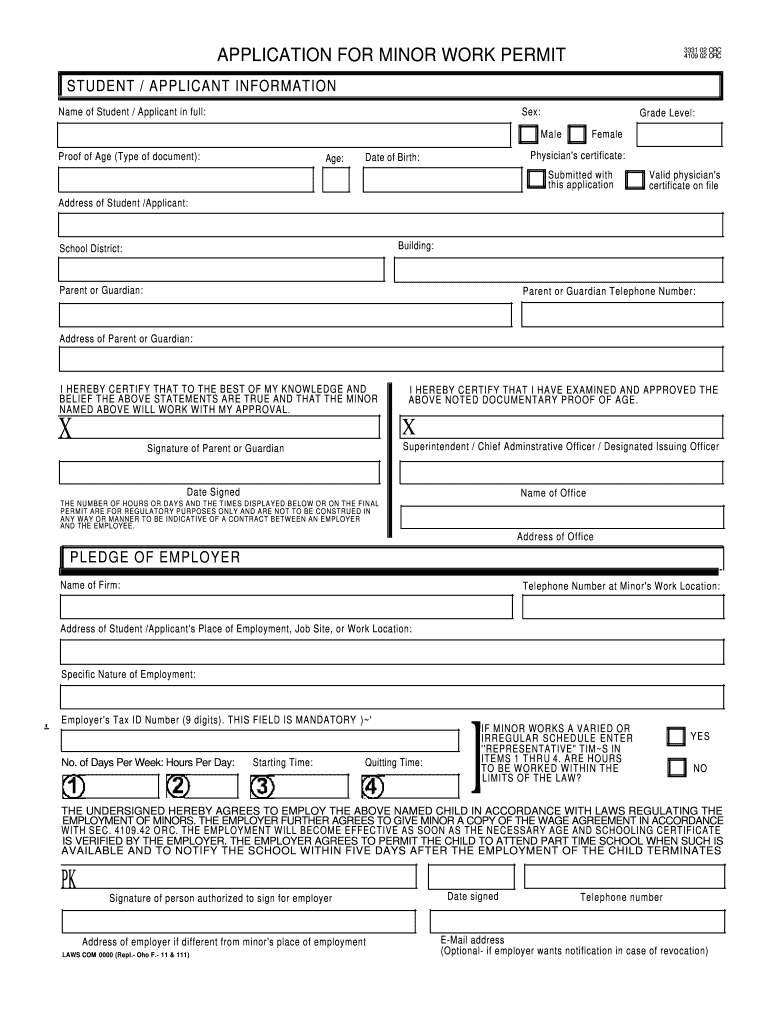 Permit Work Fill Online Printable Fillable Blank PdfFiller