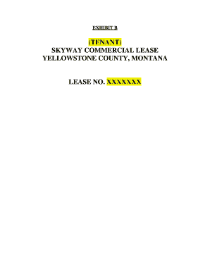 Fillable Online Emphasis-of-Matter and Other-Matter Paragraphs: What ...