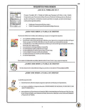 Formulario 481 1 - Fill Online, Printable, Fillable, Blank | pdfFiller