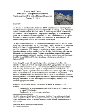 Fillable Online dhs sd 2012 CIR Report - dhs sd Fax Email Print - pdfFiller