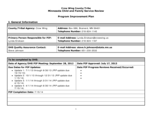 Fillable Online dhs mn PIP (PDF) - dhs mn Fax Email Print - pdfFiller