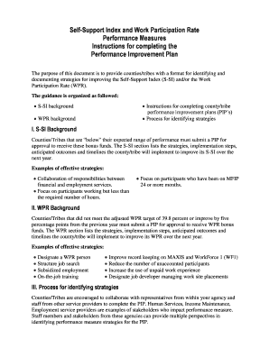 Fillable Online dhs mn Instructions for Completing the Performance ...
