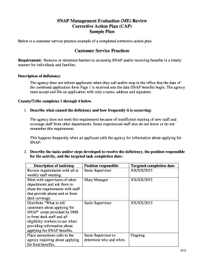Fillable Online dhs mn Sample Corrective Action Plan pdf - dhs mn Fax ...
