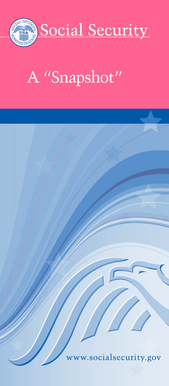 Fillable Online ssa A Snapshot This publication provides a snapshot of ...