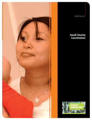 Fillable Online Small Charity Constitution Small Charity Constitution ...