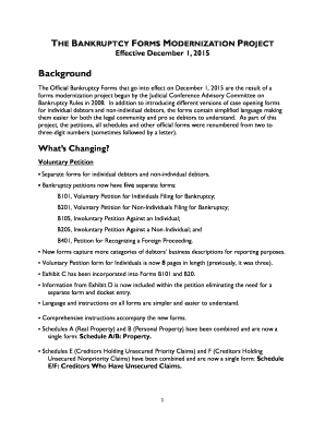 Fillable Online THE BANKRUPTCY FORMS MODERNIZATION PROJECT Fax Email ...