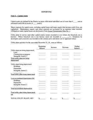 Fillable Online sao wa REPORTING Note X Capital Assets Capital assets ...