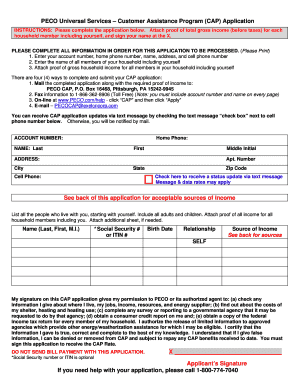 Fillable Online CAP Application with Text Msg and Income Info on Back ...