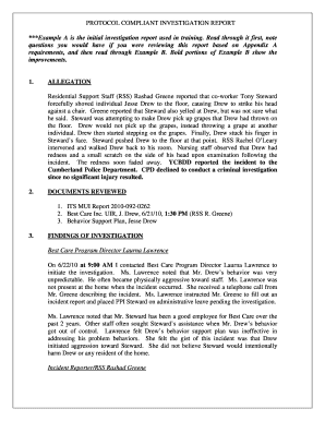 Fillable Online dodd ohio Investigation Report Example Fax Email Print ...