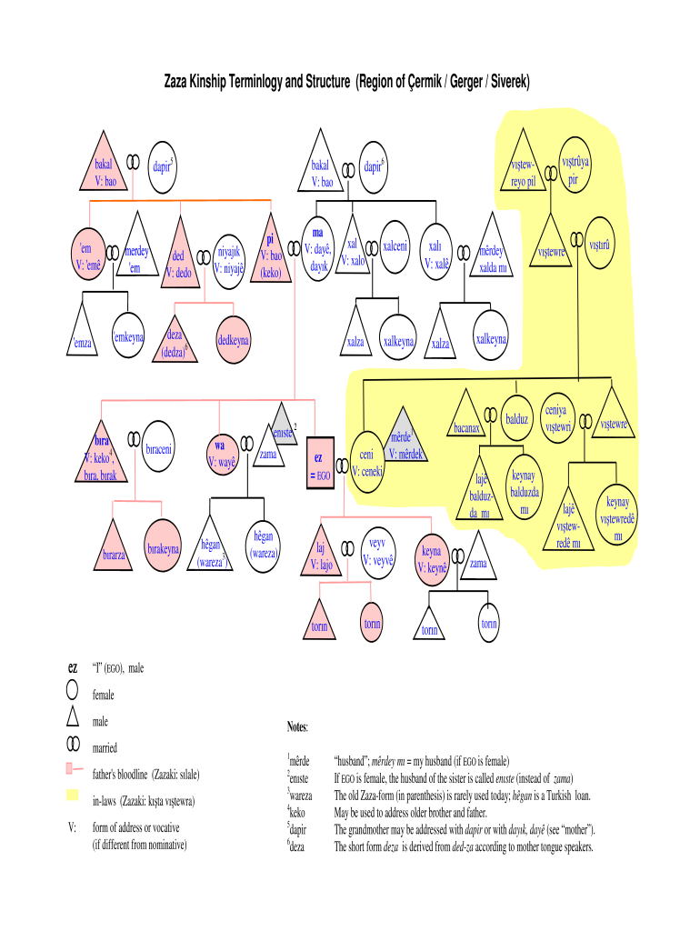 Kinship Chart Maker 2020 2022 Fill And Sign Printable Template Online