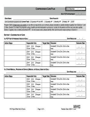Fillable Online nyc COMPREHENSIVE CARE PLAN DATE CREATED: / / NEXT PCP ...