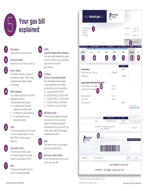 Fillable Online Natural gas Your gas bill explained - Bord G is Energy ...