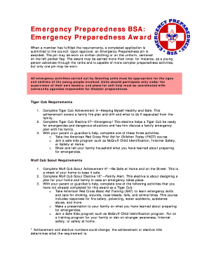 Fillable Online ct Emergency Preparedness BSA Emergency Preparedness ...