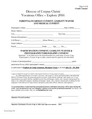 Fillable Online (Youth Consent) Fax Email Print - pdfFiller