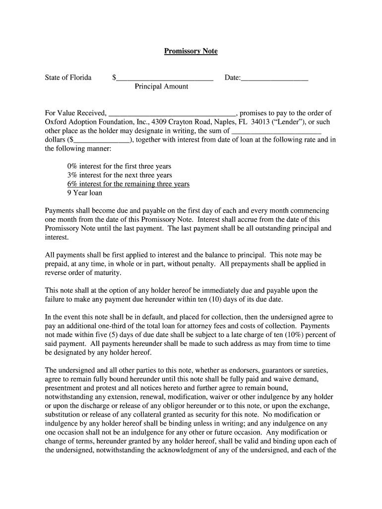 Promissory Note Template Florida Fill And Sign Printable Template 
