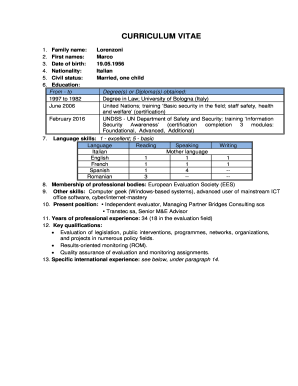 Fillable Online CURRICULUM VITAE - Bridges consulting Fax Email Print - pdfFiller