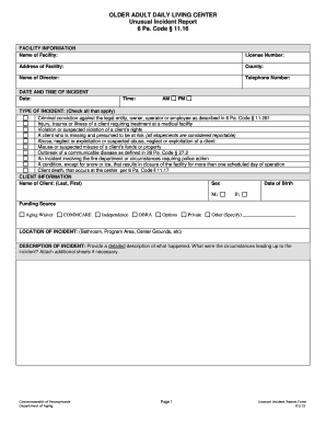 Unusual Incident Report - Fill Online, Printable, Fillable, Blank ...