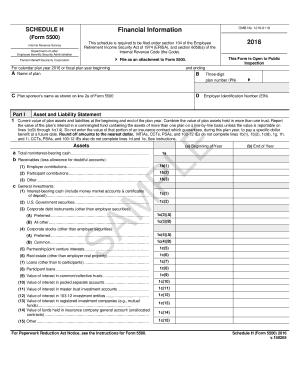 Fillable Online dol Schedule H - dol Fax Email Print - pdfFiller