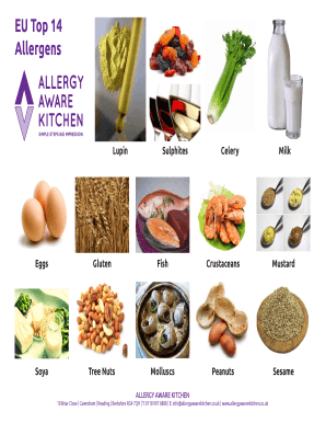 Fillable Online admissions aua Recommendation Letter Form - AUA ...