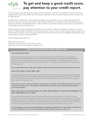 Fillable Online files consumerfinance Credit Card Flyer - Consumer ...