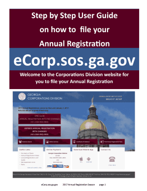 Fillable Online sos ga Step by Step User Guide on how to file your ...