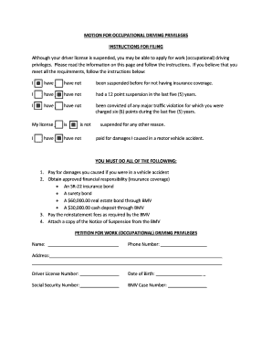 Fillable Online mahoningcountyoh MOTION FOR OCCUPATIONAL DRIVING ...