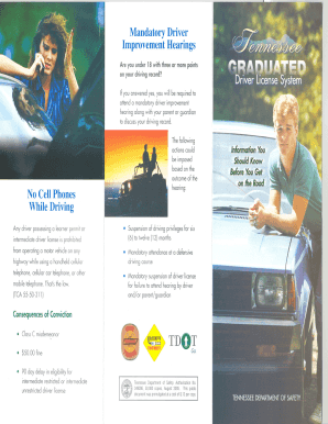 Fillable Online tn Graduated Driver License Guide Brochure - tn Fax ...