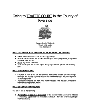 Fillable Online Traffic and Ticket Basics Fax Email Print - pdfFiller