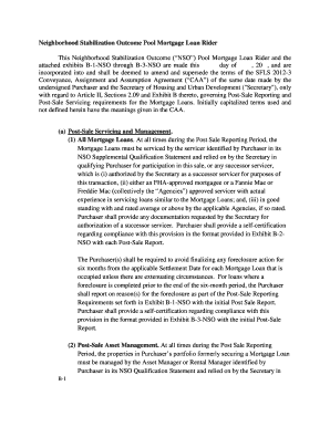 Fillable Online Fillable NSO Fax Email Print - pdfFiller